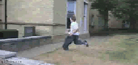 GIF climbing wall insane - animated GIF on GIFER