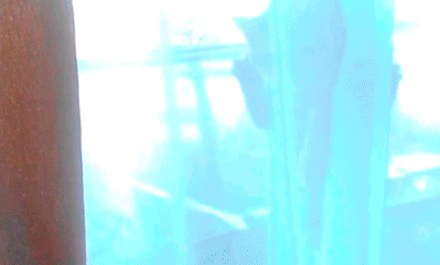 Cat animals window GIF - Find on GIFER