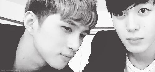 Vixx Ken Gif