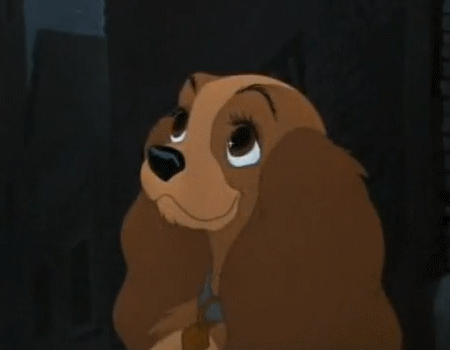 GIF lady - animated GIF on GIFER