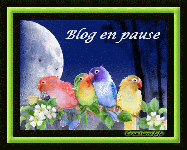 Blog GIF - Find on GIFER