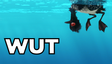 Huh confused wut GIF - Find on GIFER
