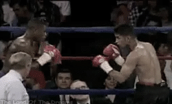Boxing GIF - Find on GIFER