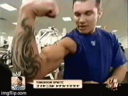 Sports wrestling workout GIF - Find on GIFER