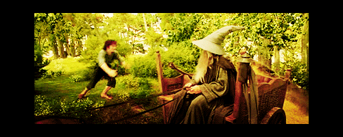 GIF frodo - animated GIF on GIFER