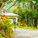 Capture GIF - Find on GIFER