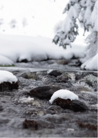 Stream GIF - Find on GIFER