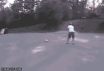 Party random GIF - Find on GIFER