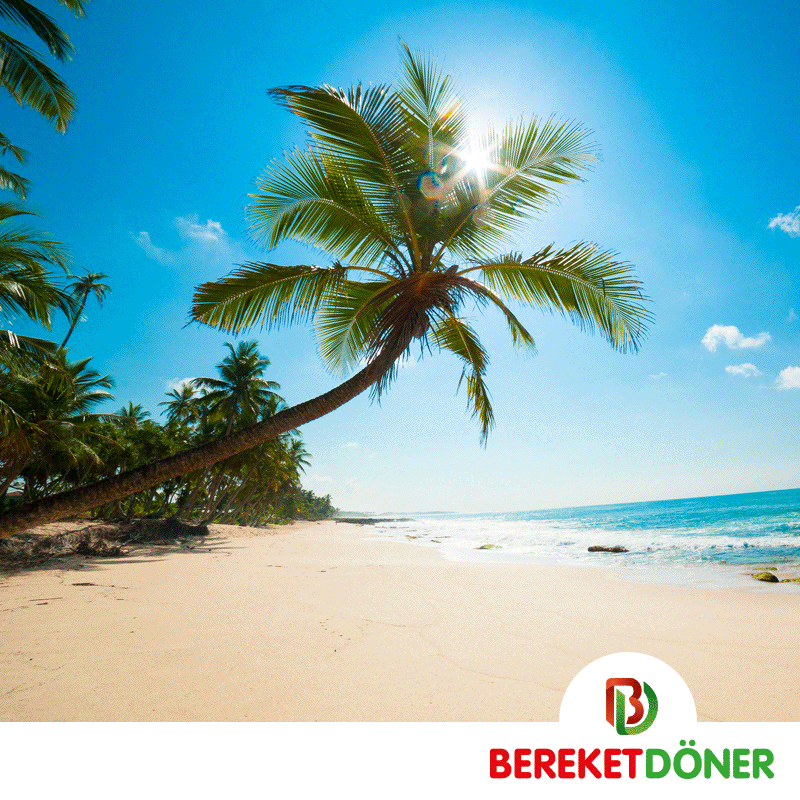 Dan GIF - Find on GIFER