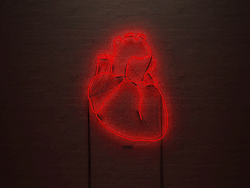GIF neon lights - animated GIF on GIFER