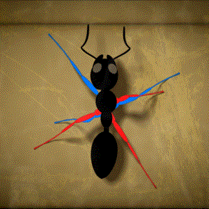 GIF ants - animated GIF on GIFER