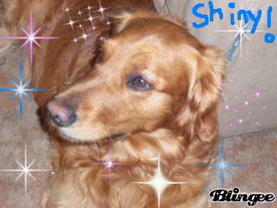 GIF pretty - animated GIF on GIFER