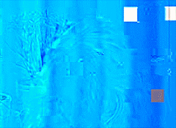 Glitch water ink GIF - Find on GIFER