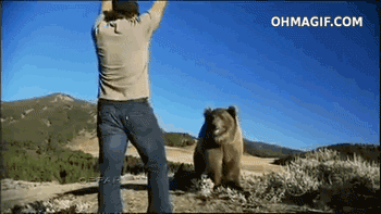 GIF high five - animated GIF on GIFER
