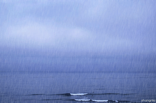 Rain GIF - Find on GIFER