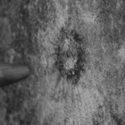 Bullet Animated Gif