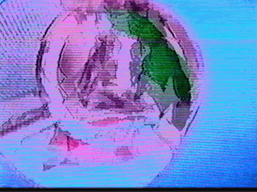 Glitch vhs GIF - Find on GIFER