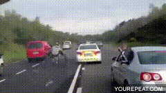 Street GIF - Find on GIFER