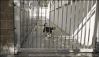 Escape GIF - Find on GIFER