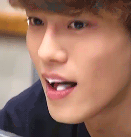 GIF exo - animated GIF on GIFER