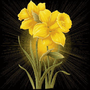 GIF songs - animated GIF on GIFER