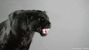 Roar GIF - Find on GIFER