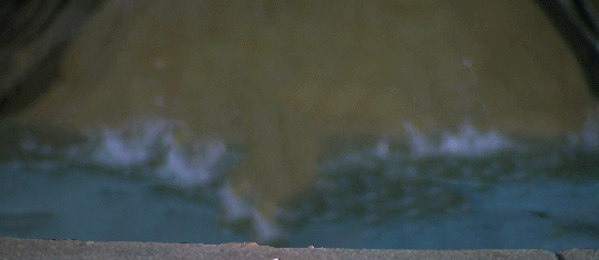 GIF evolution - animated GIF on GIFER