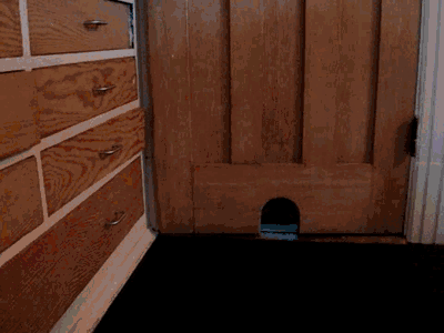 Interesting GIF - Find on GIFER