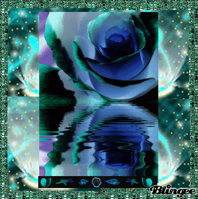 Reflection GIF - Find on GIFER