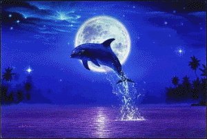 Dolphin page greetings GIF - Find on GIFER