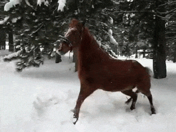 Snow angel GIF - Find on GIFER