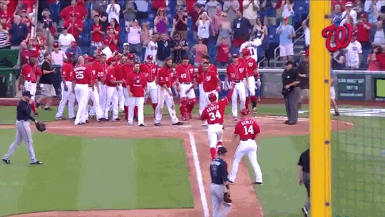 Baseball mlb washington nationals GIF - Find on GIFER