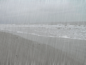 Beach GIF - Find on GIFER