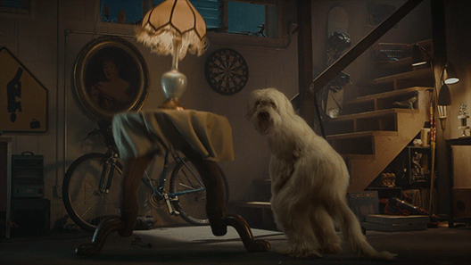 Dog commercial GIF - Find on GIFER