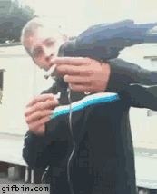 GIF eerr jerrrnts - animated GIF on GIFER