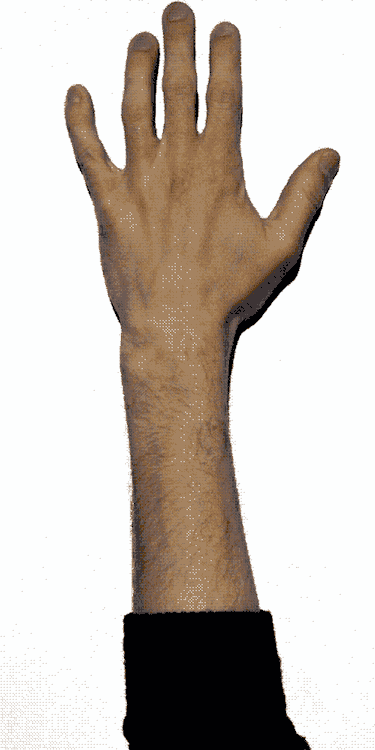 Hand art animation GIF - Find on GIFER