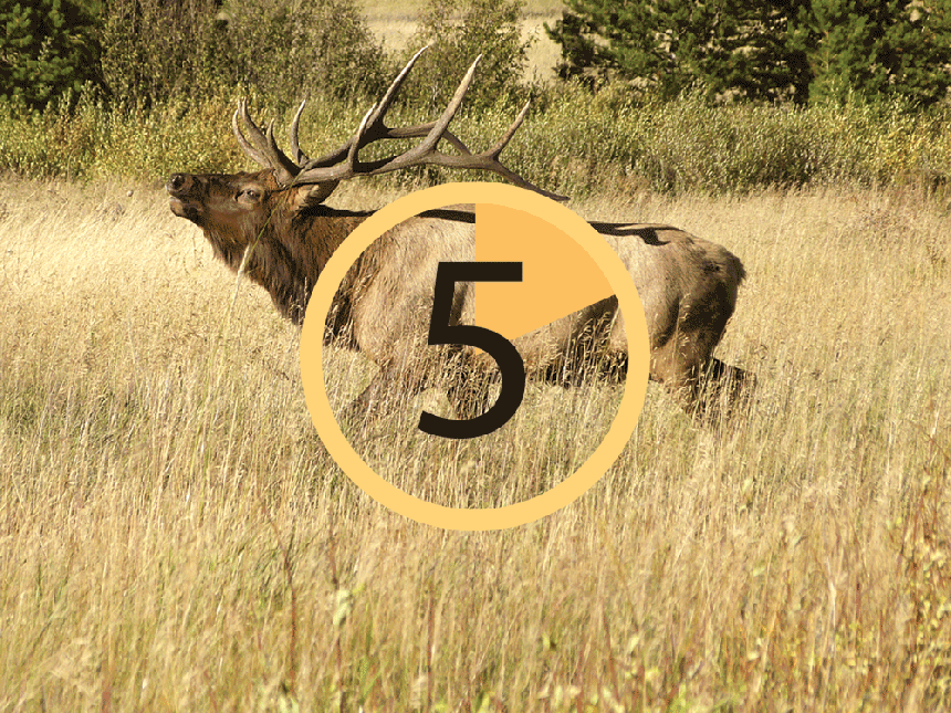 Colorado GIF - Find on GIFER