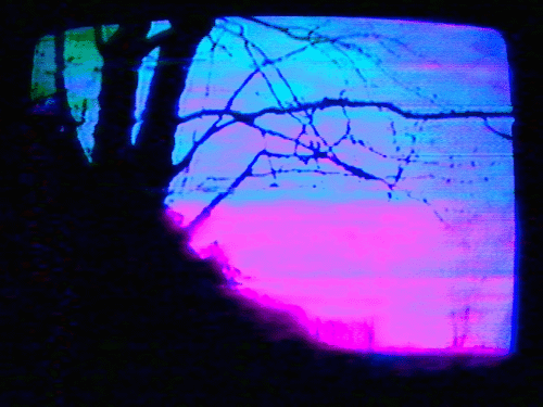 GIF glitch max capacity - animated GIF on GIFER