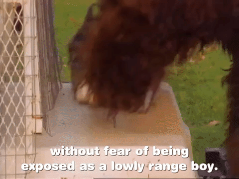 Stick figure GIF - Find on GIFER