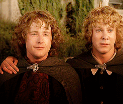 Our movies sam GIF - Find on GIFER