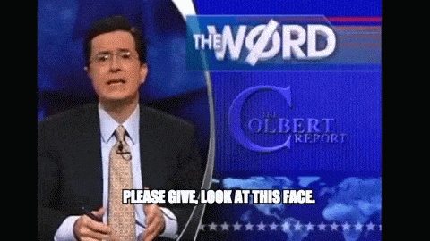 Stephen colbert the colbert report GIF - Find on GIFER