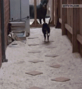 Floor GIF - Find on GIFER