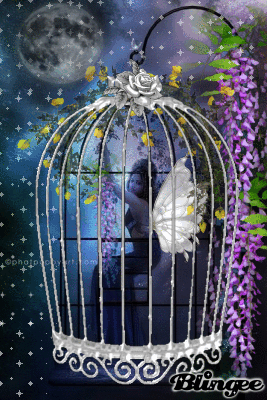 Beauty GIF - Find on GIFER