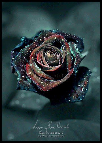 How To Add Gif Images / Animations To Post On Blogger - Blog Tipster