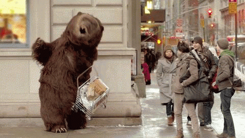 Bear GIF - Find on GIFER