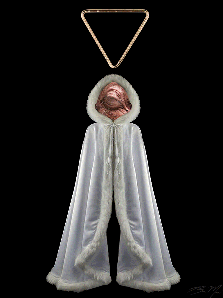 Collage animation GIF - Find on GIFER