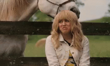 GIF ha - animated GIF on GIFER