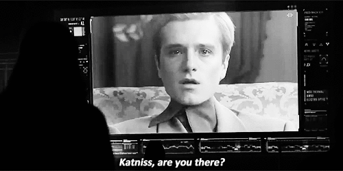 Mockingjay GIF - Find on GIFER