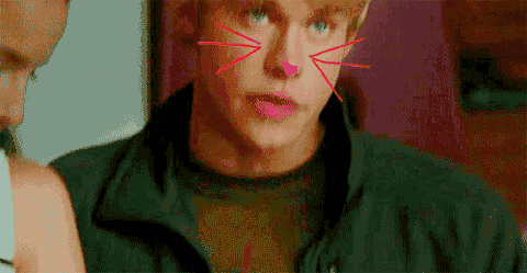 GIF kitty face - animated GIF on GIFER