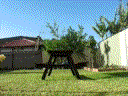 Roll over GIF - Find on GIFER